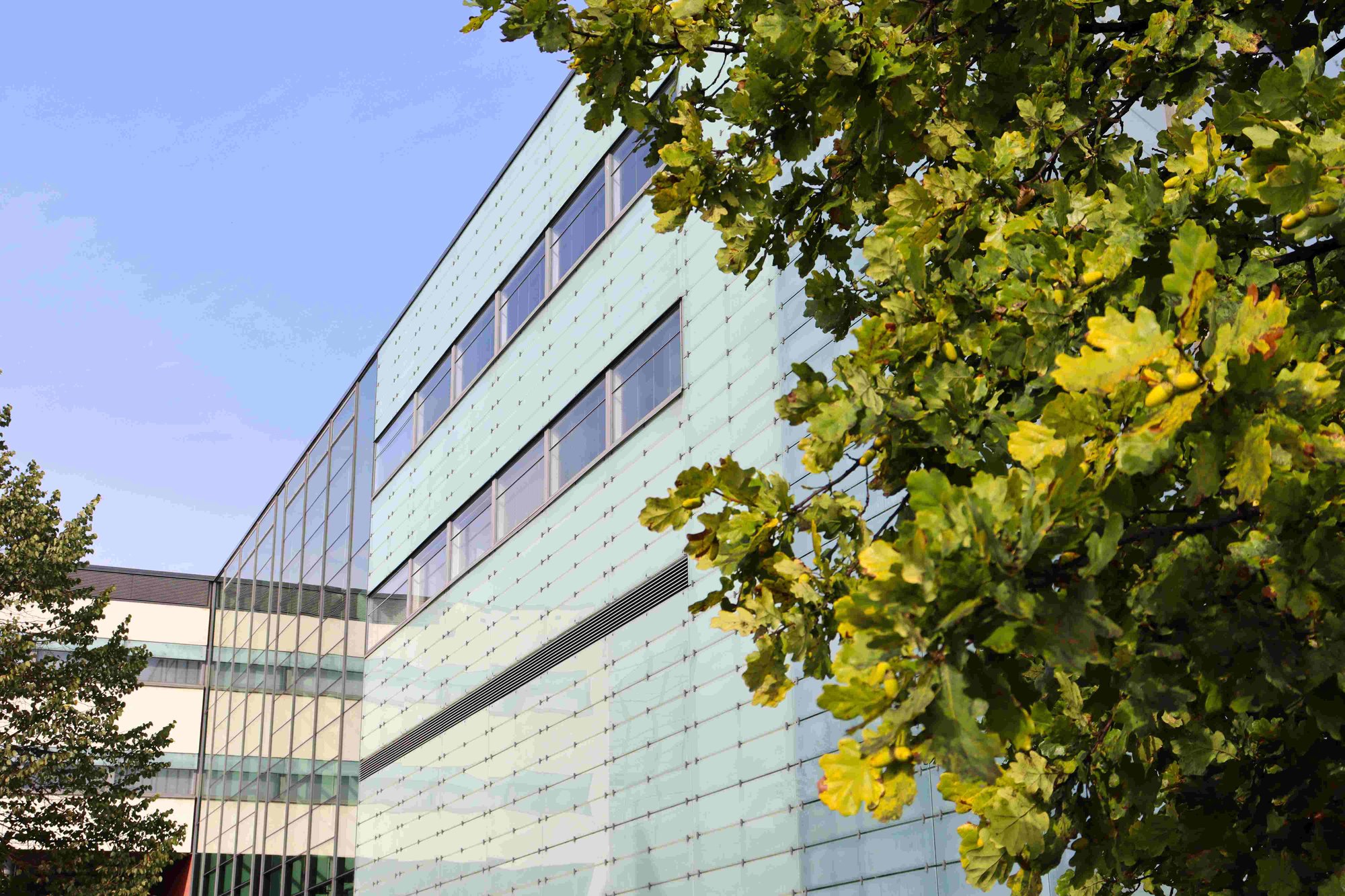 Seamless integration: Arcada's digitalisation with itslearning and SISU