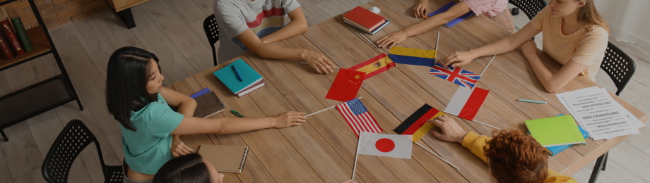 Webinar | Mastering your LMS in International Schools